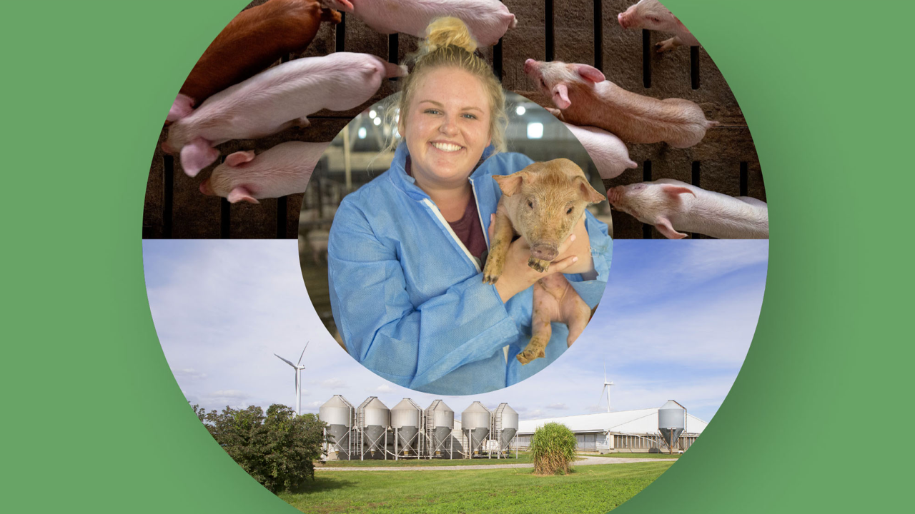 Home - Pork Cares